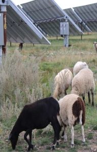 Akamihk Energy – Managing Energy Installations